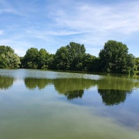Ryton Pools Country Park - Park