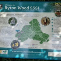 Ryton Pools Country Park - Park