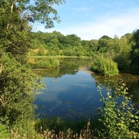Ryton Pools Country Park - Park