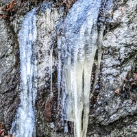 Lorimer Park - 4 tips from 370 visitors