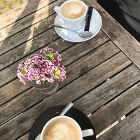 Cafe Bar Katz - Altstadt - St. Sebald - 44 tips from 578 visitors