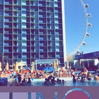The POOL at the LINQ - Pool