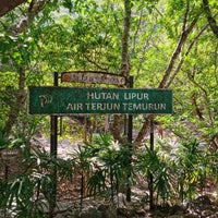 Temurun Waterfall - 11 tips from 994 visitors