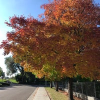 Harvard Gulch Park - Rosedale - 6 tips from 569 visitors