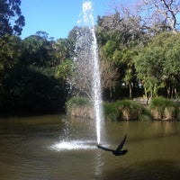 Auckland Domain Pond - Grafton - 1 tip from 194 visitors