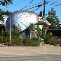 Goode's Armadillo Palace - 30 tips from 2163 visitors