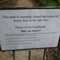 Tilgate Park Nature Centre - 4 tips