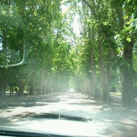 Rotonda del Mapa San Rafael - Park