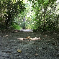 Z Boaz Park - 5250 Old Benbrook Rd