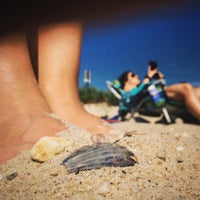 Wades Beach - 4 tips