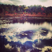 Pinckney State Recreation Area - State / Provincial Park