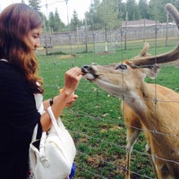 Deer Ranch - Saint Ignace, MI