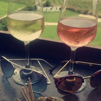 York Winery Pvt. Ltd. - Vineyard in Nashik