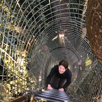 O'Reilly's Tree Top Walk - Hiking Trail