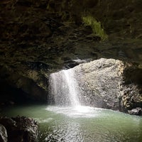 Natural Bridge - Springbrook National Park