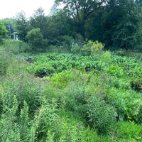 Fred Fletcher Park - Park in Raleigh