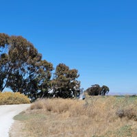 Baylands Nature Preserve - Baylands - Palo Alto, CA