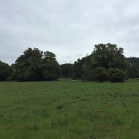 Earthquake Trail - Trail in Point Reyes Station