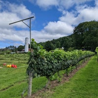White Silo Winery - 3 tips from 427 visitors