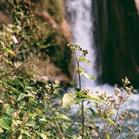 Neer Waterfalls - 60 visitors
