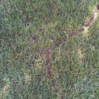 Flowerland - Wyoming, MI