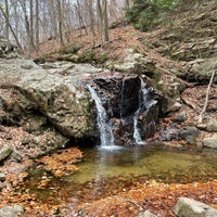 Patapsco State Park - Cascade Falls Trailhead - Hiking Trail