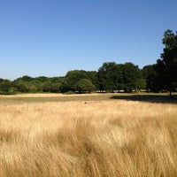 Harpenden Common - Field