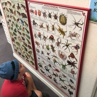 Bug Museum - West Bremerton - 4 tips from 186 visitors