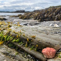 Kettle Cove - 7 tips