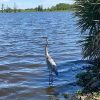Circle B Bar Reserve - Lakeland, FL