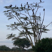 Serengeti National Park