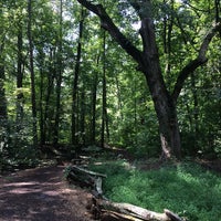 Big Trees Forest Preserve - Sandy Springs, GA
