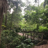 Dickson Azalea Park - Lawsona- Fern Creek - 100 Rosearden Drive