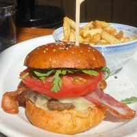 Wolf in the Fog - 24 tips from 517 visitors