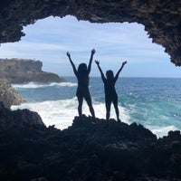 Animal Flower Cave - Cave