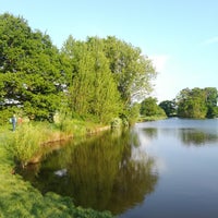 Hylands Park - 6 tips from 646 visitors