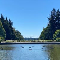 UW: Drumheller Fountain - University District - 11 tips from 1317 visitors