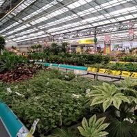 Ranzijn Tuin & Dier - Flower Store in Centrum Almere-Buiten