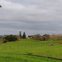 One Tree Hill Domain - Park