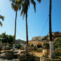 The Cabo Coffee Co. - 16 tips from 305 visitors