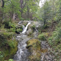 Donard Park - 116 visitors