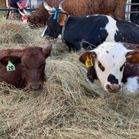 Hawthorne Valley Farm - Farmers Market