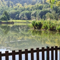Lacul Noua - 8 tips from 494 visitors