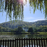 Lacul Noua - 8 tips from 494 visitors
