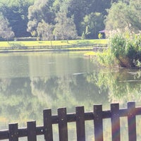 Lacul Noua - 8 tips from 494 visitors