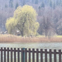 Lacul Noua - 8 tips from 490 visitors