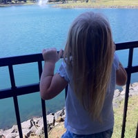 Pineville Lake Park - 6 tips from 172 visitors