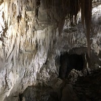 Ruakuri Cave - 6 tips