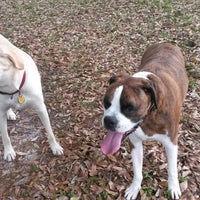 Juno Beach Dog Park - Dog Park in The Bluffs
