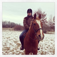 Lamplight Equestrian Center - Elgin, IL